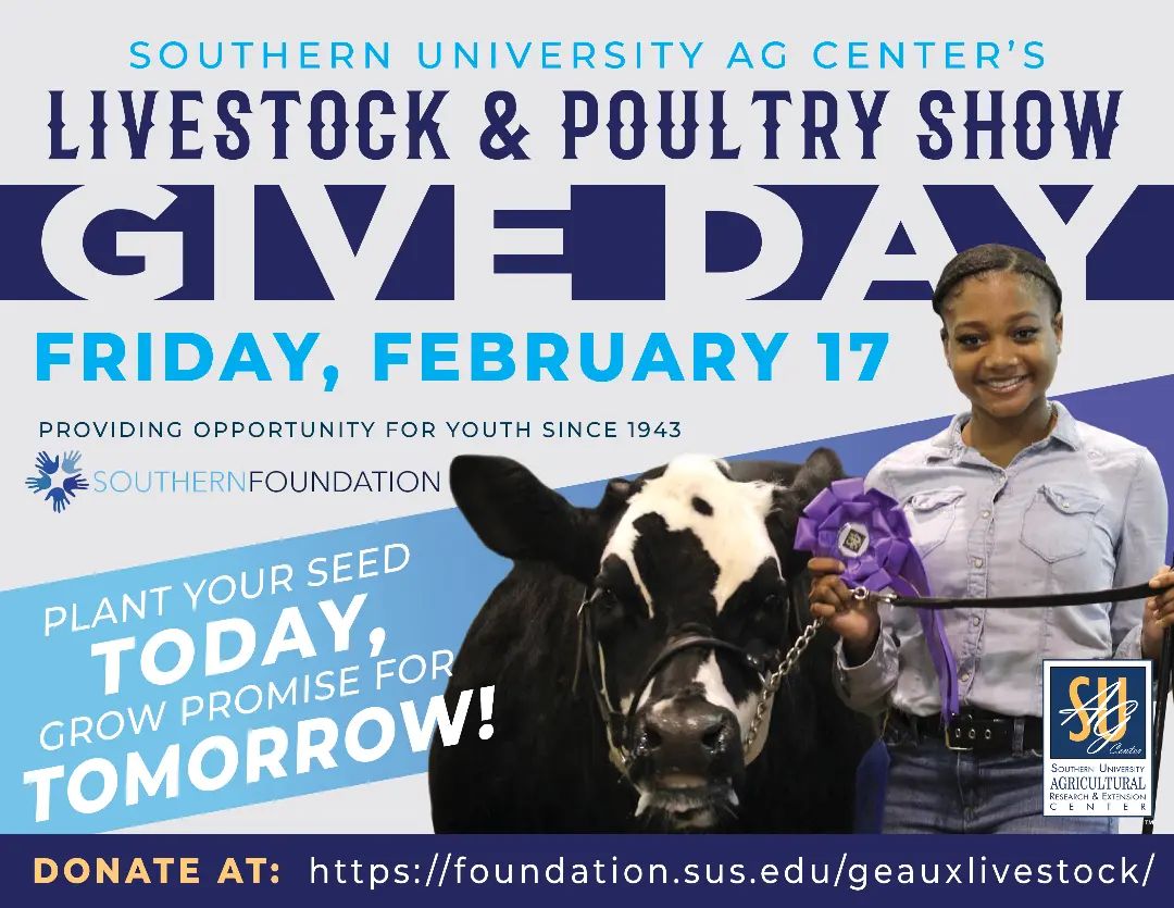 Livestock | Southern Foundation